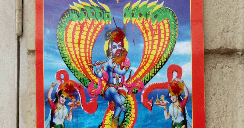 Nag Panchami | Festival of Snakes | Festival of Nepal - Step on Himalaya